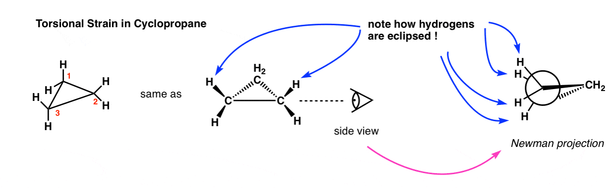 Cycloalkanes – Ring Strain In Cyclopropane And Cyclobutane — Master ...