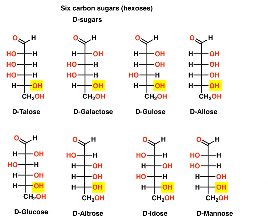 D and L Sugars — Master Organic Chemistry