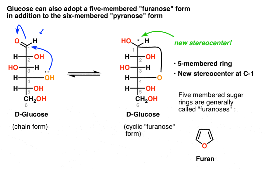 Pyranoses and Furanoses: Ring-Chain Tautomerism In Sugars — Master ...