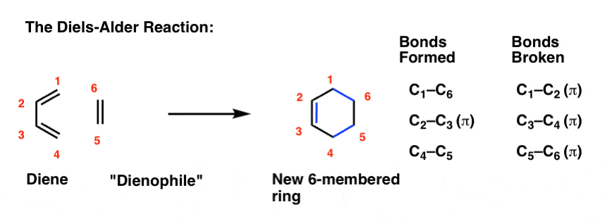 Cyclic Dienes and Dienophiles in the Diels-Alder Reaction — Master ...